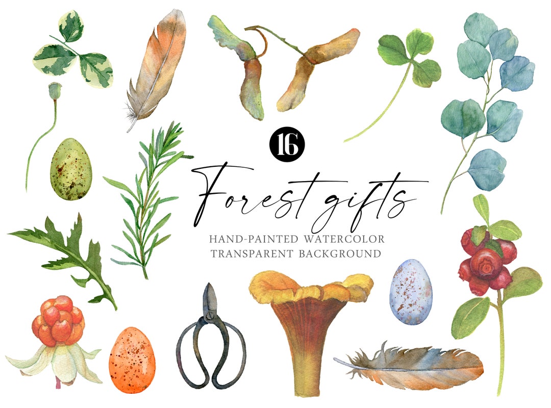 Watercolor Woodland Clipart Forest Botanics Elements Plants Wild Flora ...