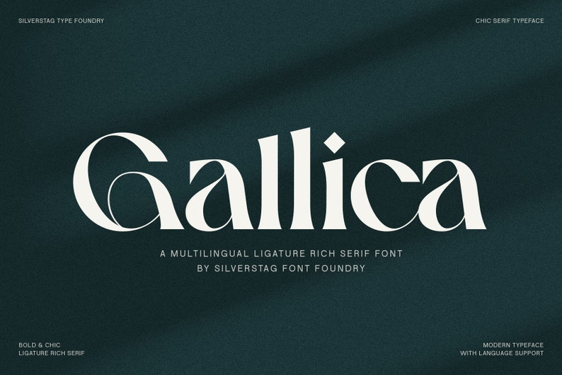 Gallica - A Powerful Ligature Serif Font - Etsy