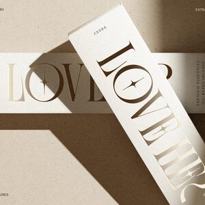 SLTF BOXROOM - Modern Serif Typeface - Etsy