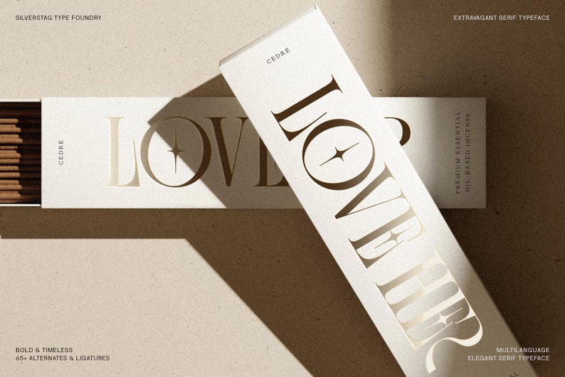 SLTF BOXROOM - Modern Serif Typeface - Etsy