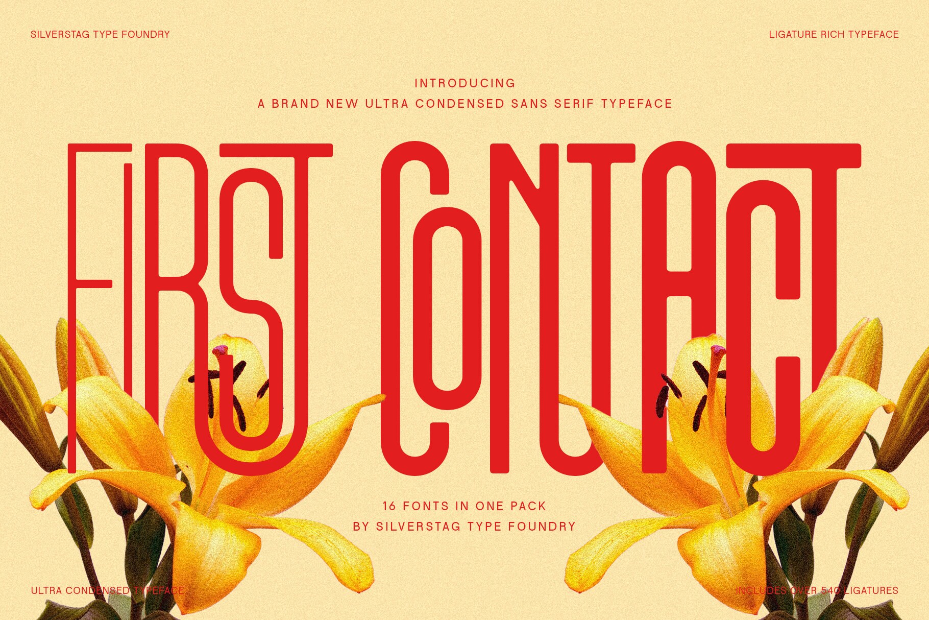 First Contact Ultra Condensed Typeface 16 Fonts - Etsy