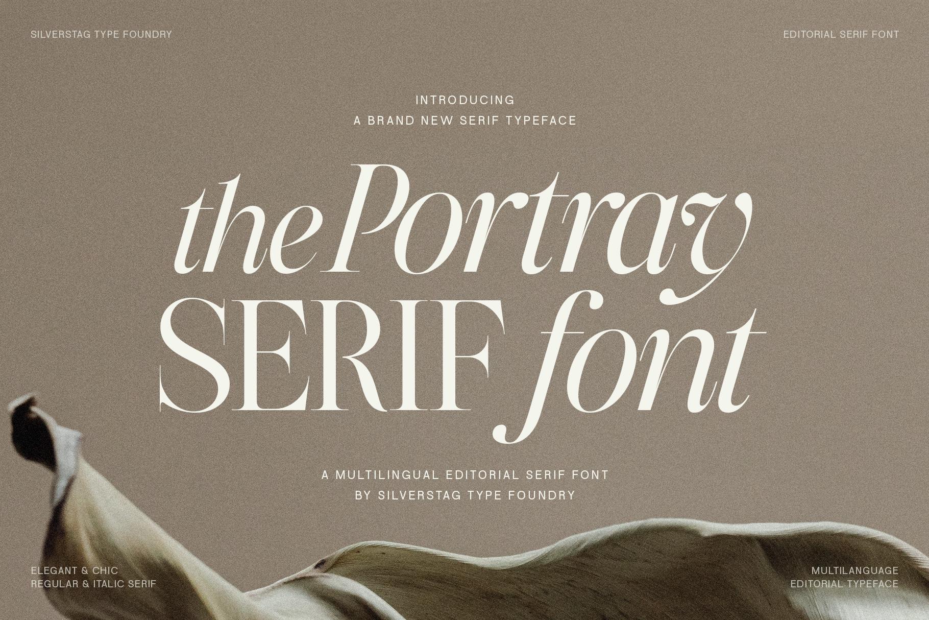 The Portray Elegant Serif Typeface - Etsy