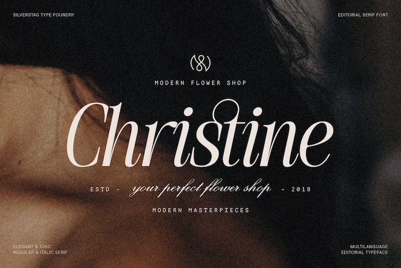 The Silver Editorial - Modern & Chic Serif Font - Etsy