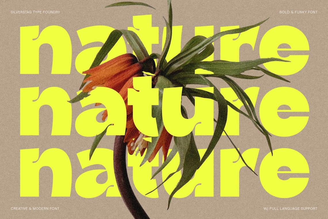 Ingrafts - Bold & Funky Font - Etsy