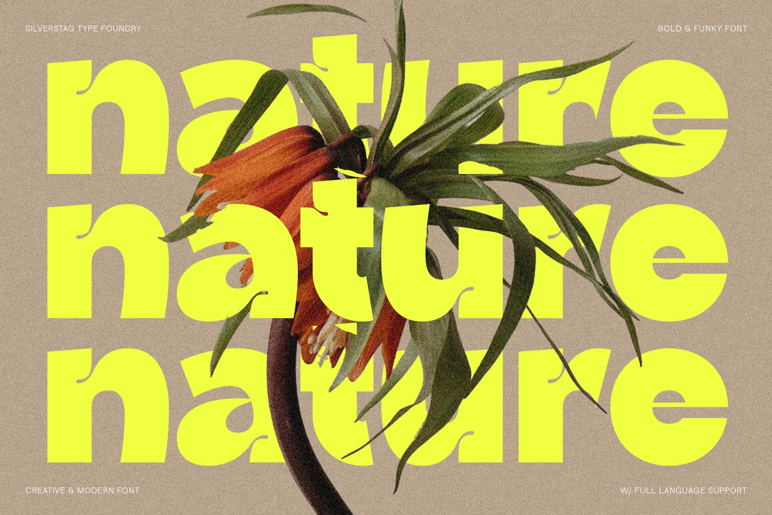 Ingrafts - Bold & Funky Font - Etsy