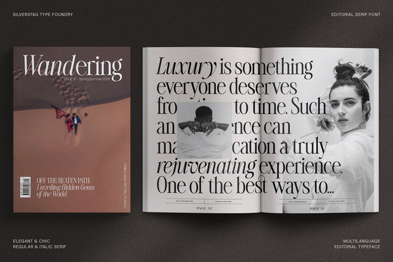 The Silver Editorial - Modern & Chic Serif Font - Etsy