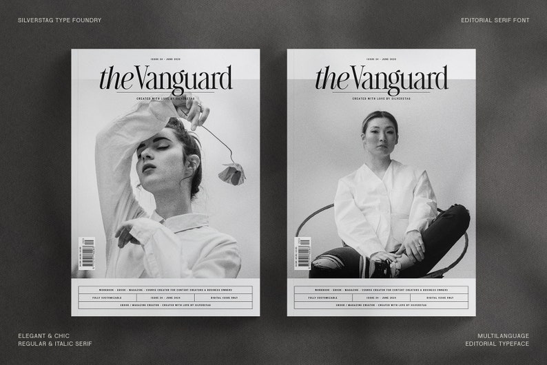 The Silver Editorial - Modern & Chic Serif Font - Etsy