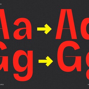 SLTF Refugio - Modern Grotesk Font - Etsy