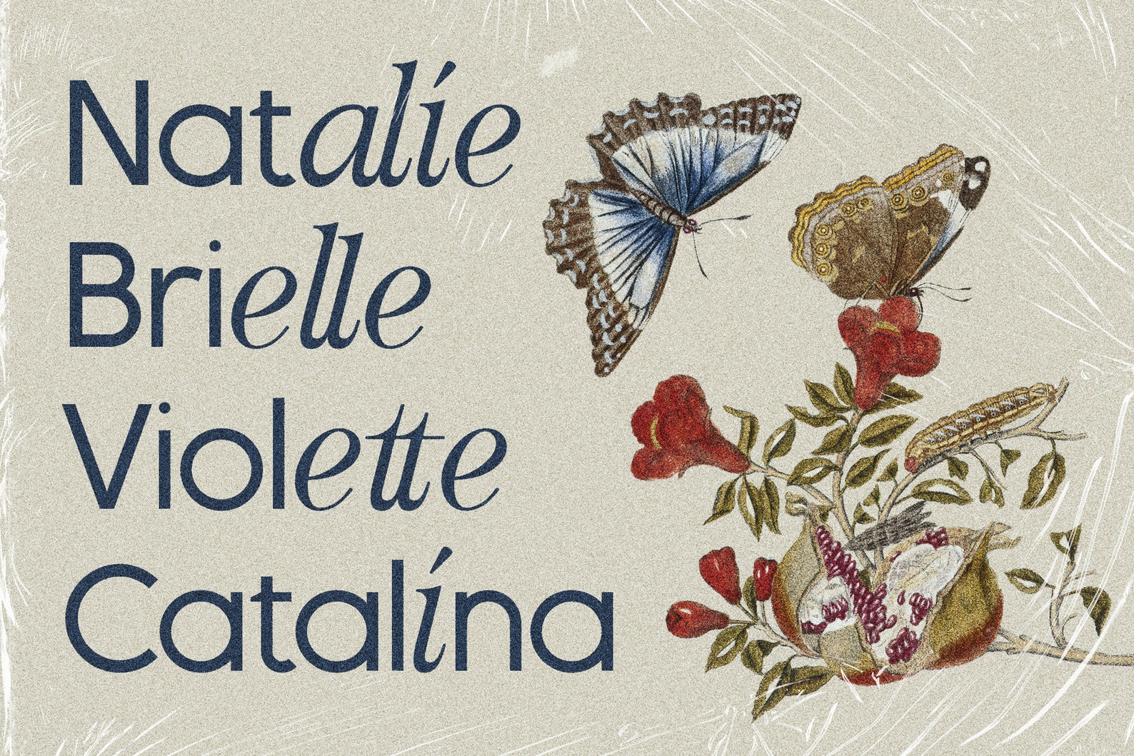 Officially Funky - Modern Font Duo - Etsy