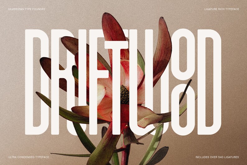 First Contact - Ultra Condensed Typeface (16 Fonts) - Etsy