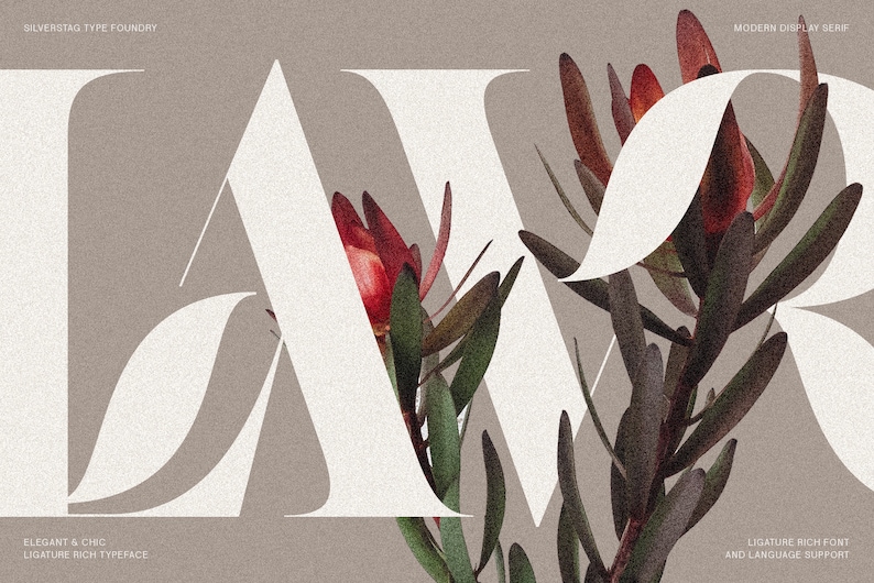 Raving - Editorial Display Serif Font - Etsy