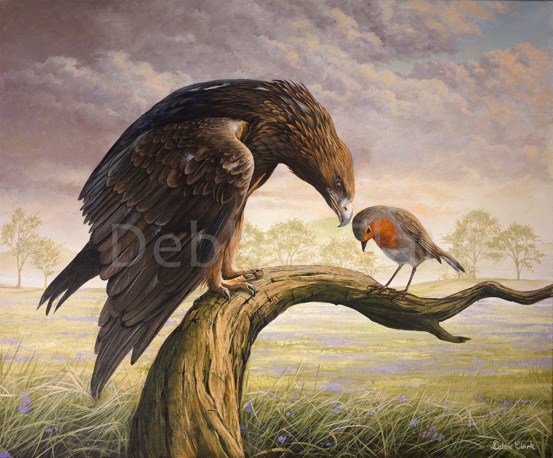 Giclee Wall Art Print - the Humble Robin - 11" X 13" - Etsy