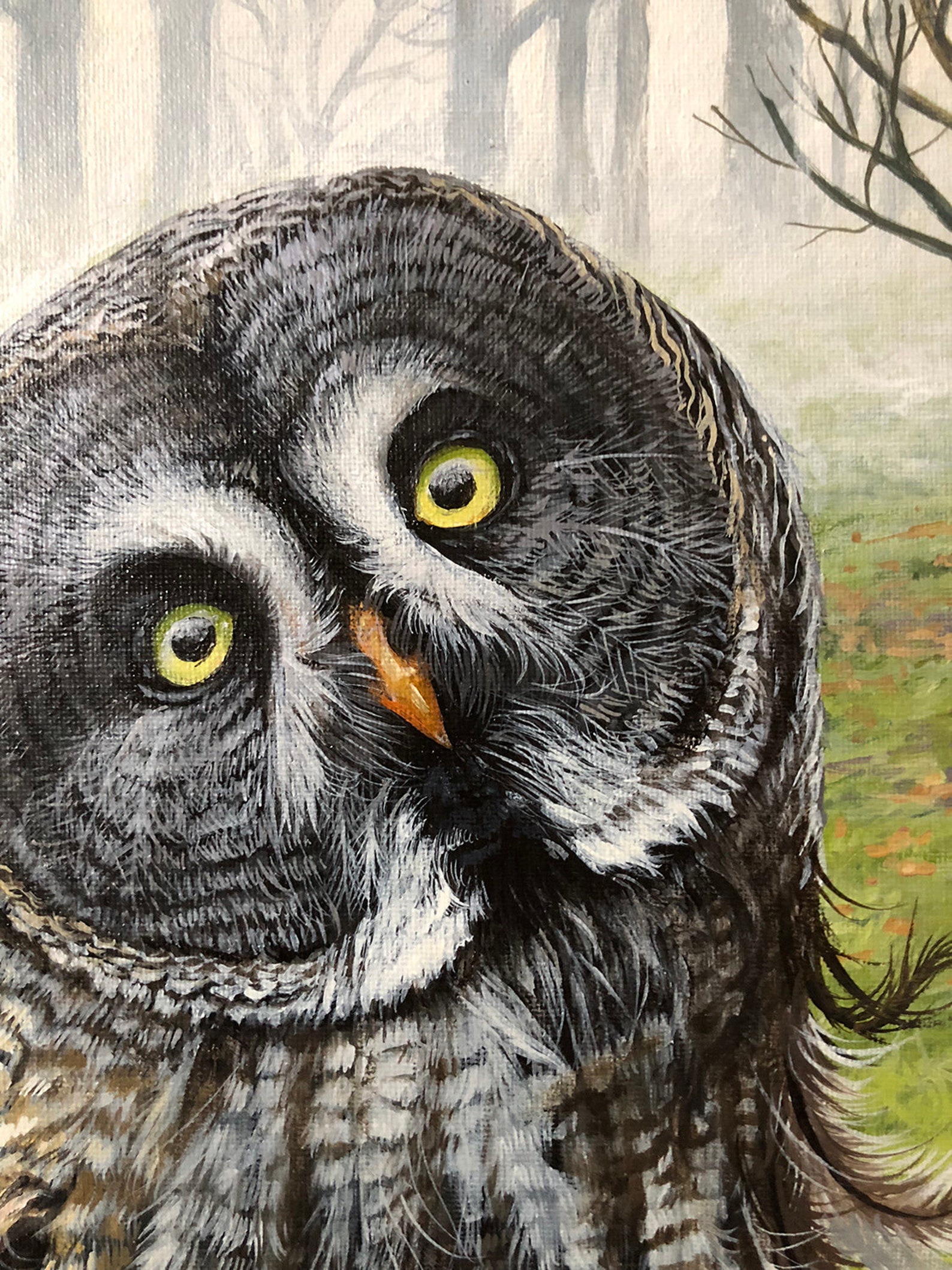Owl Art Print on A3 the Great Grey Owl Acrylic Wildlife - Etsy