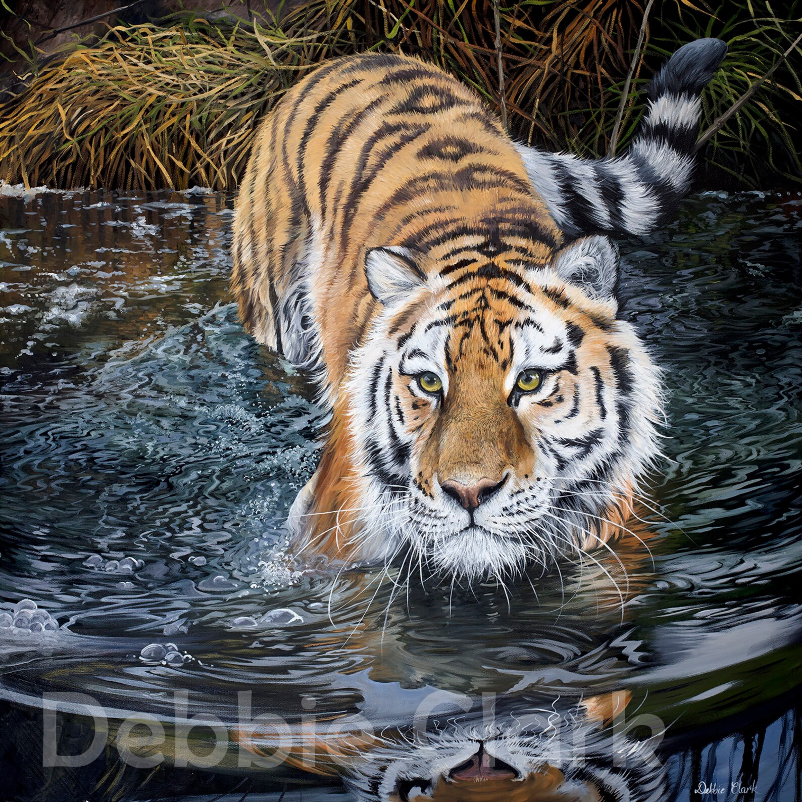 Tiger in the Water Art Print Animal Art Limited Edition - Etsy