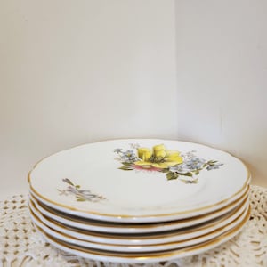 Set of 6 Plates Dessert Sandwich Plates Six Inch Plates Yellow Flowers ...