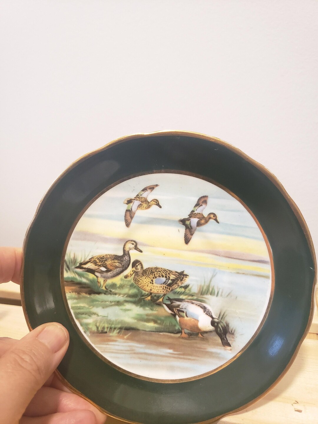 Regency Bone China Tea Cup Saucer: Duck Wildlife Cottage Decor - Etsy
