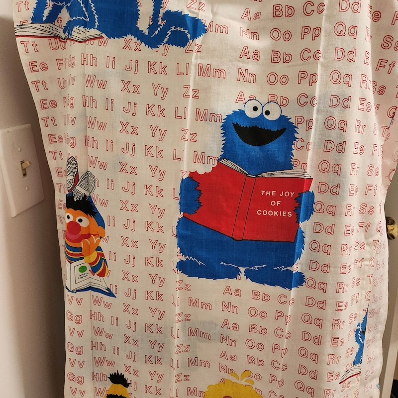 Sesame Street Decor - Etsy