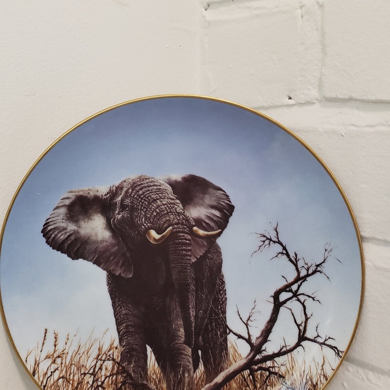 Elephant Plate - Etsy