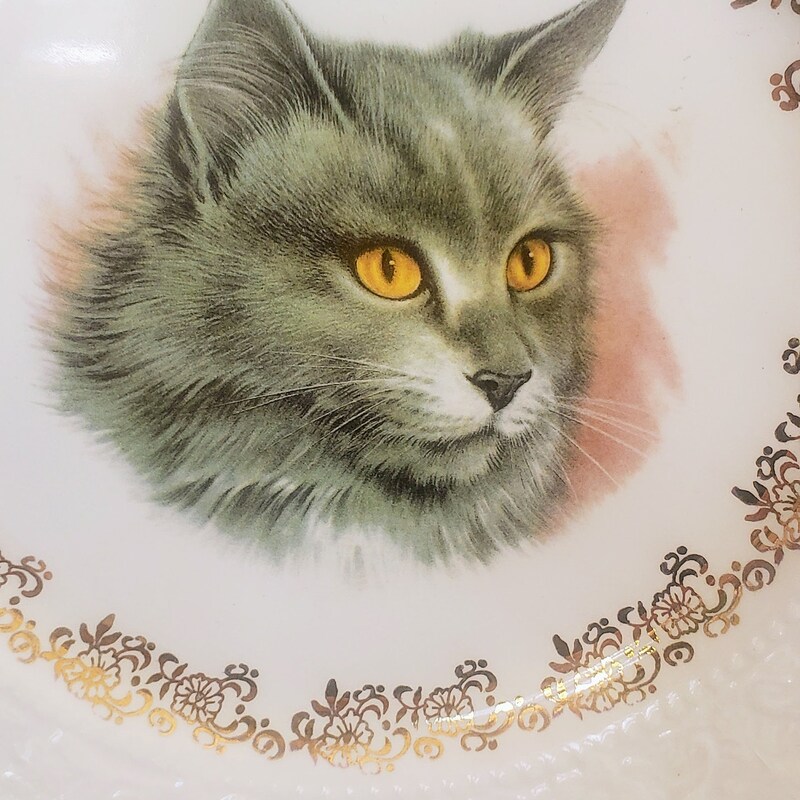 Cat Plate - Etsy