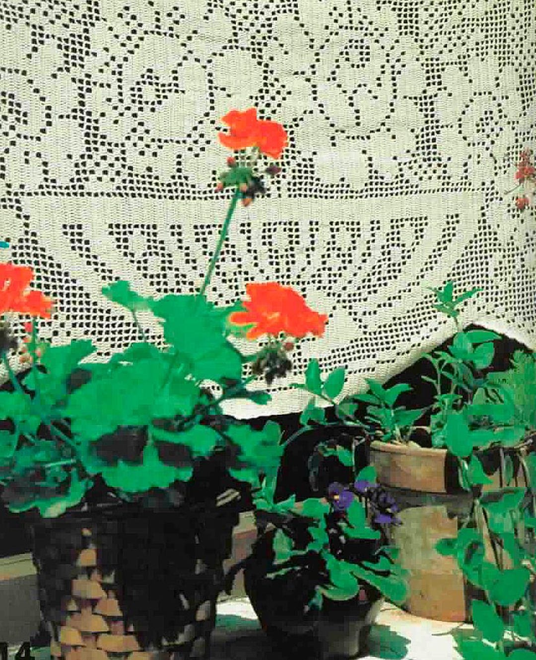 Filet Curtains Crochet Pattern Floral Lace Roses Valance Cottage Window ...