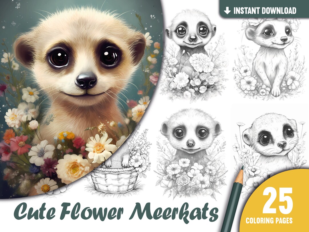 25 Cute Flower Meerkats Coloring Book Adults Kids Coloring - Etsy Australia