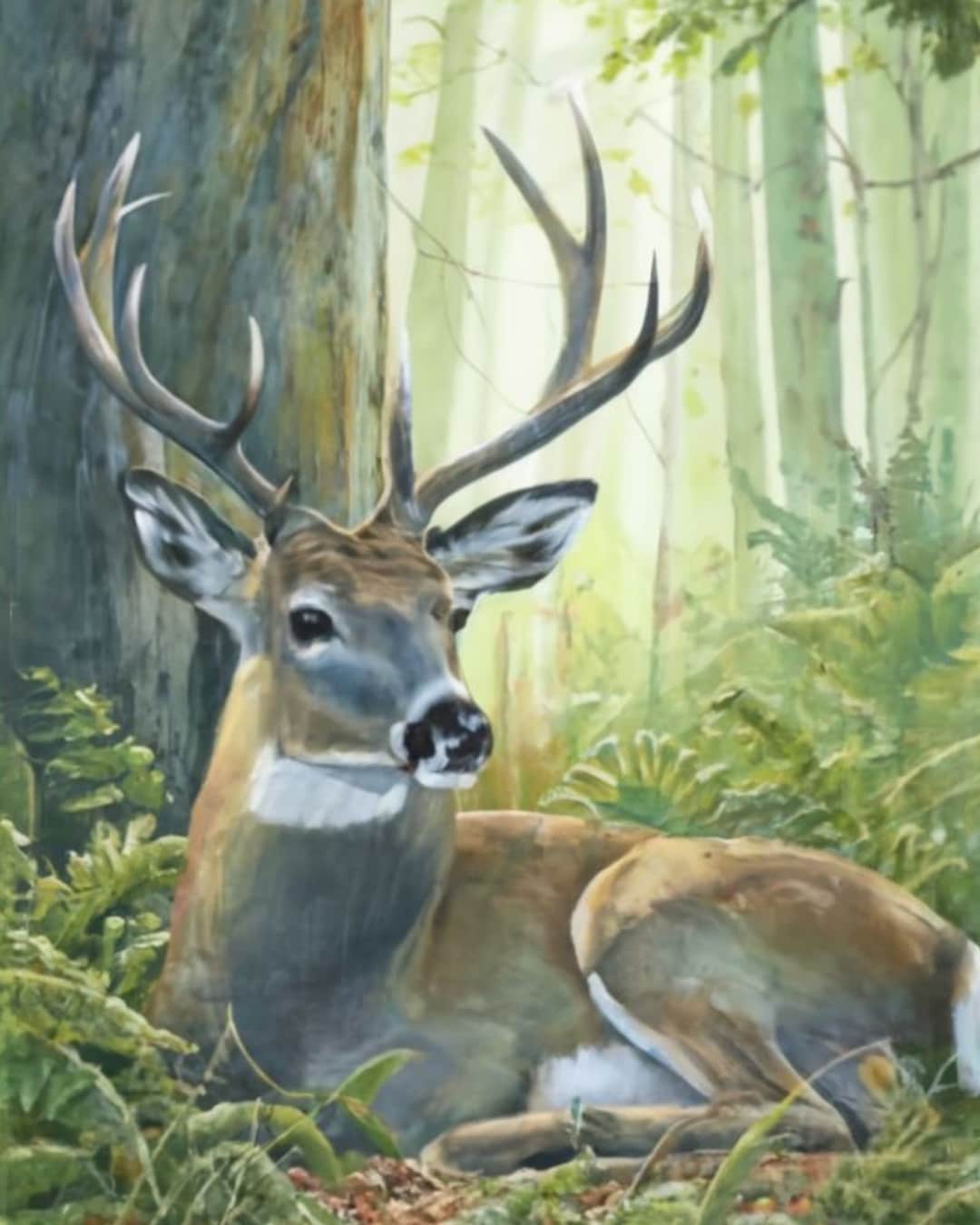 68 Watercolor Scenic Whitetail Deer Poster in 8x10 and 18x24. Instant ...