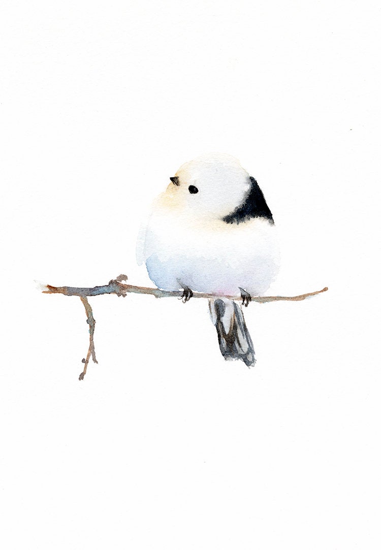 Silver-throated Dasher ORIGINAL Watercolor Painting, Long-tailed Tit ...