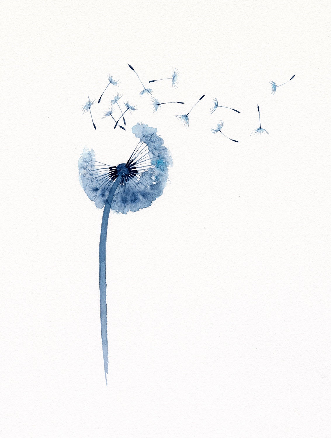 Pusteblume Original Aquarell Malerei, Pusteblumen Saat Illustration ...