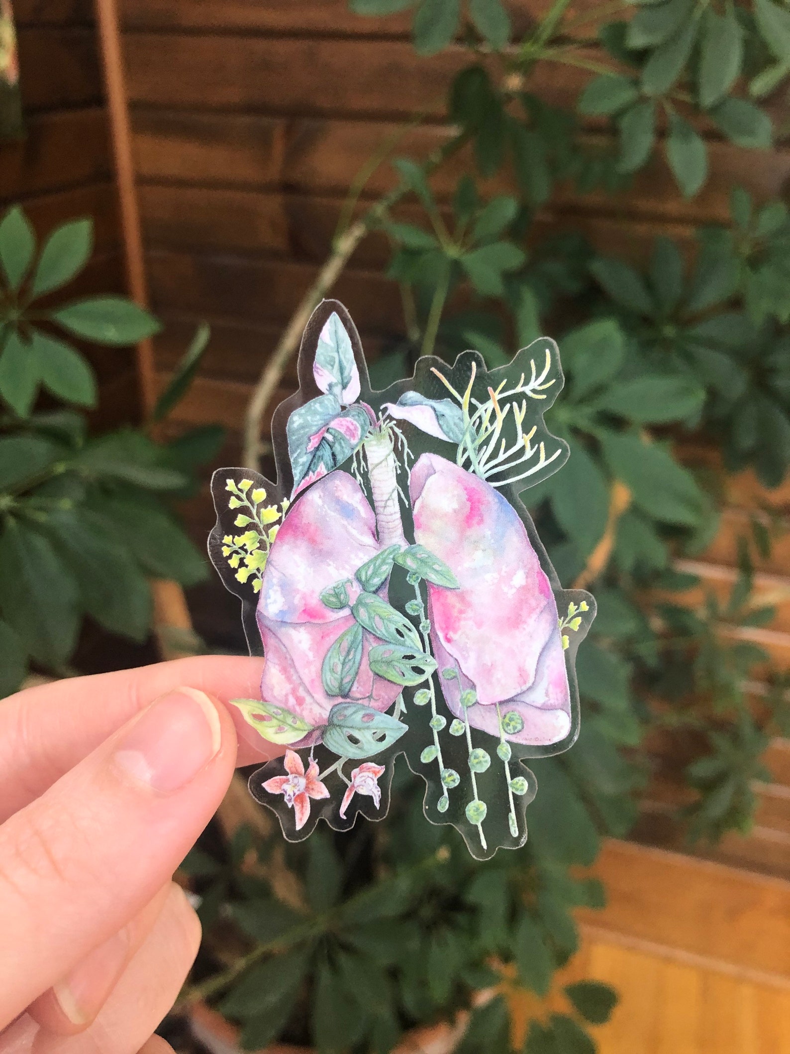 Clear Vinyl Stickers - Etsy