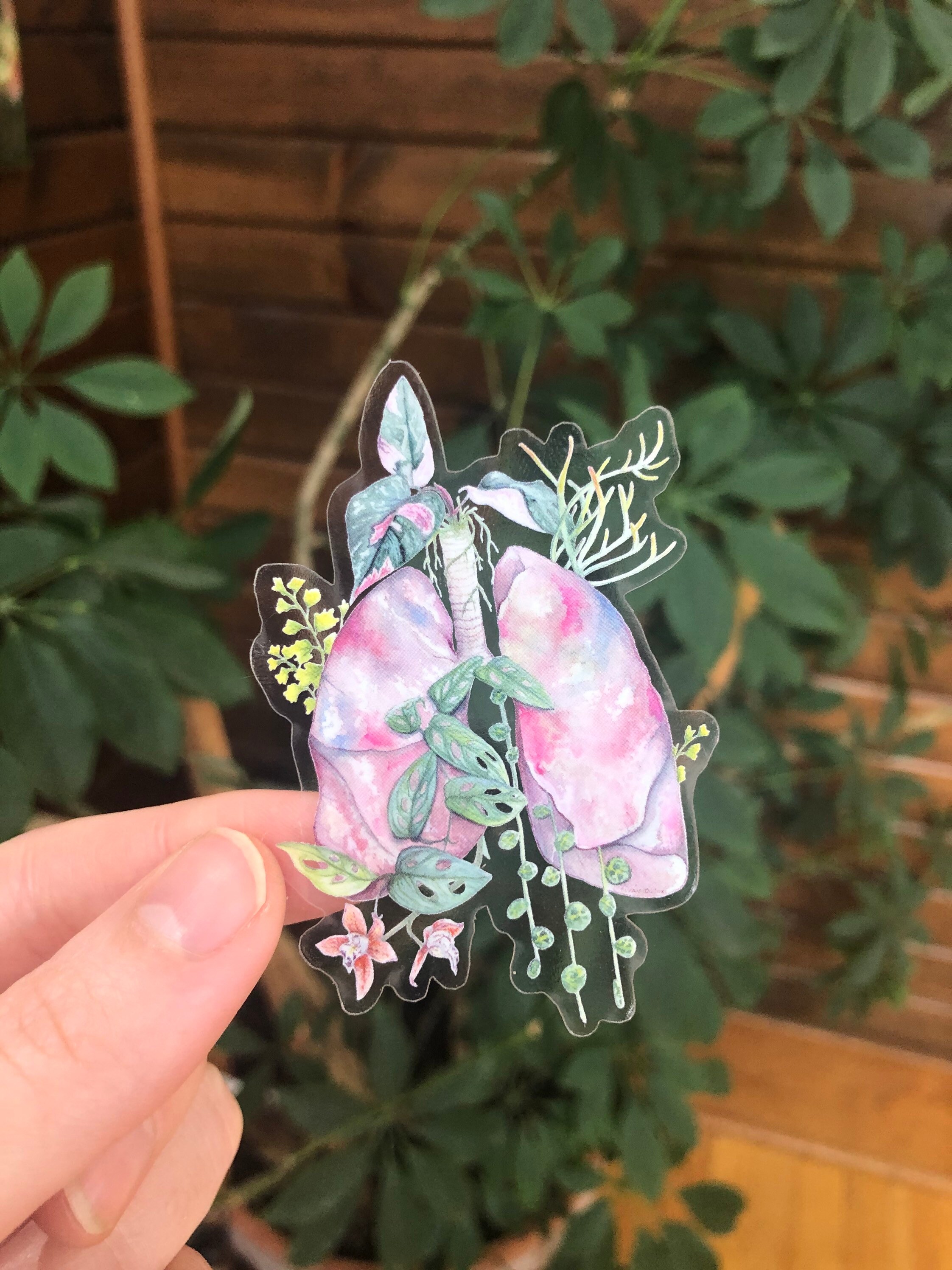 Clear Vinyl Stickers - Etsy