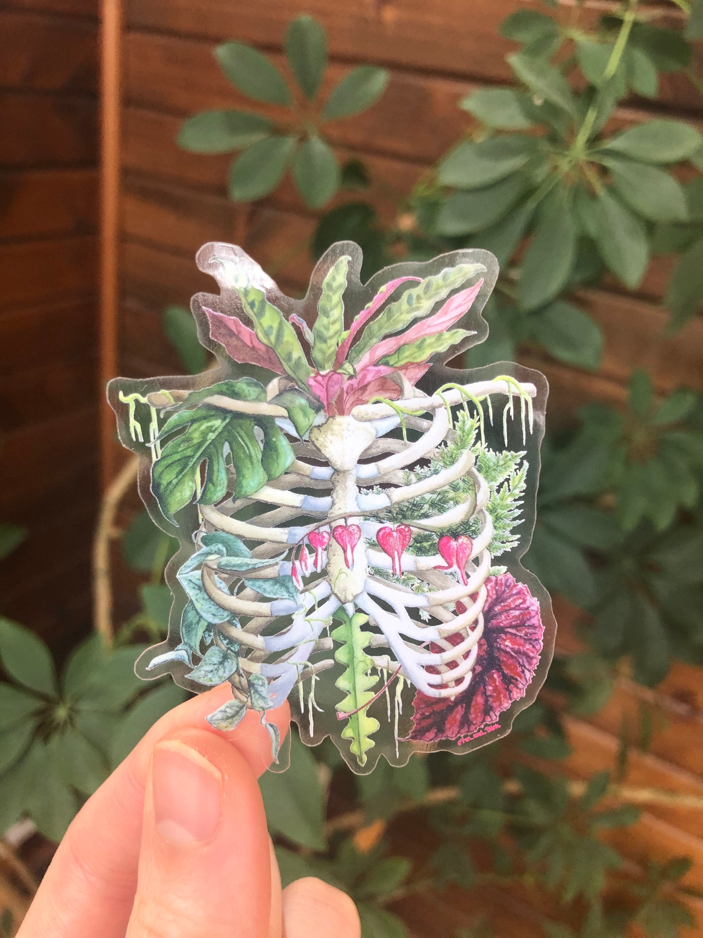 Clear Vinyl Stickers - Etsy