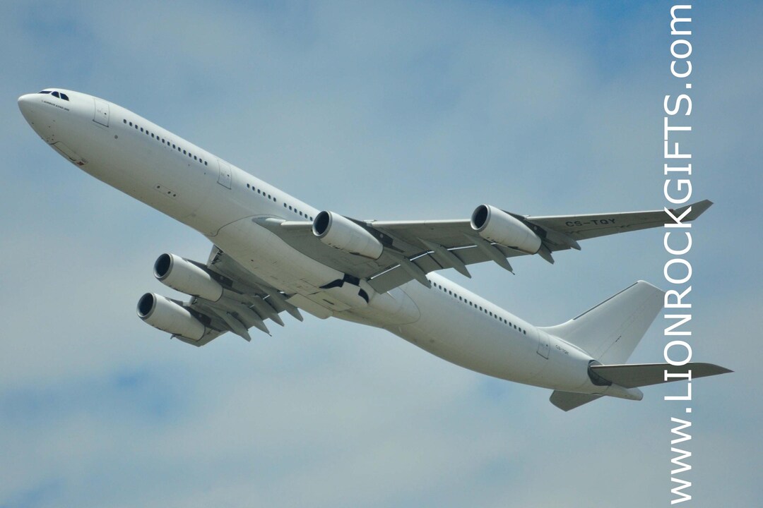 Hi Fly | A340-300 | CS-TQY | Photo - Etsy