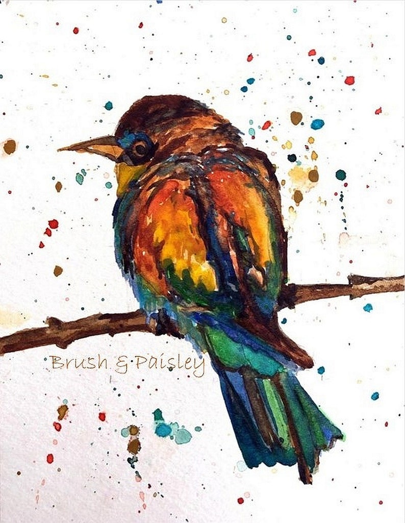 Colorful Garden Birds Blue Orange Bird Digital Download - Etsy