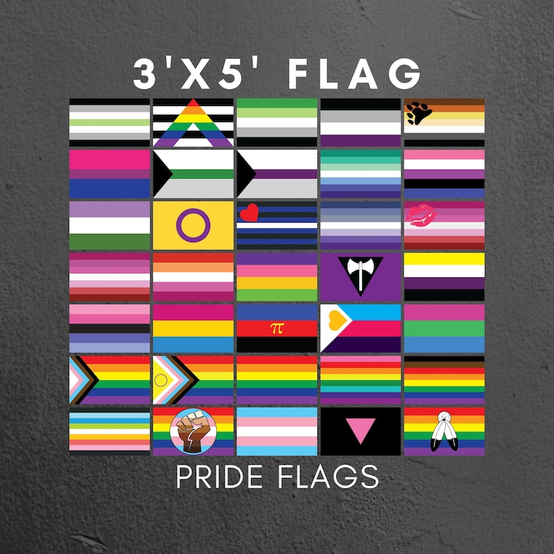 Pride Flag 3x5 Agender Ally Aro Ace Bear Bi Demi Gay - Etsy