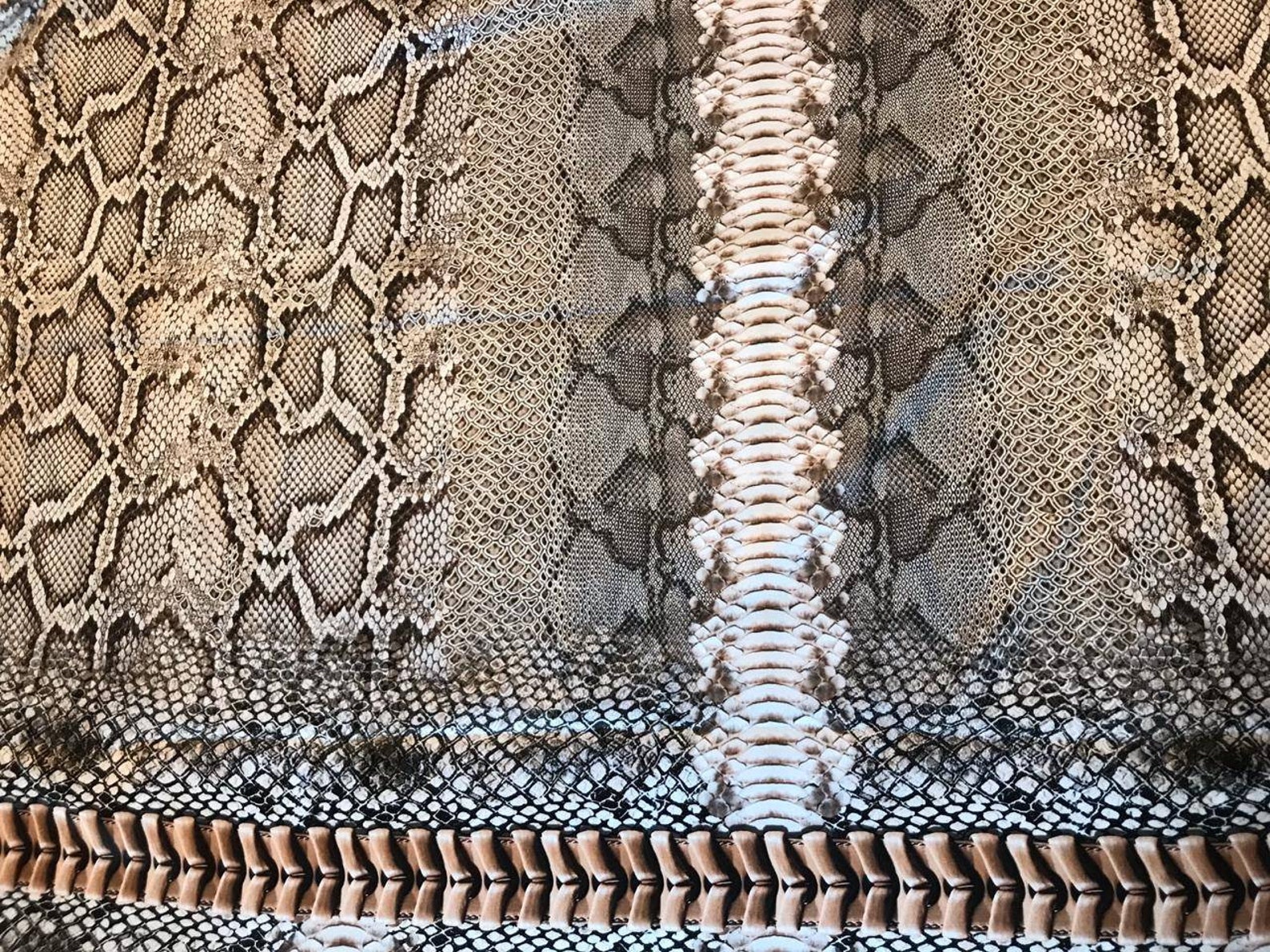 Reptile Cotton Fabric/blue Snake Skin Cotton/blue Snakeskin | Etsy