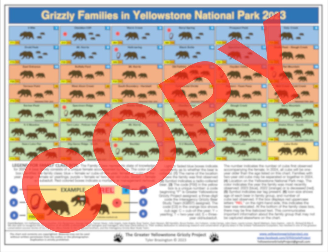 DIGITAL Yellowstone Grizzly Family Chart 2023 - Etsy