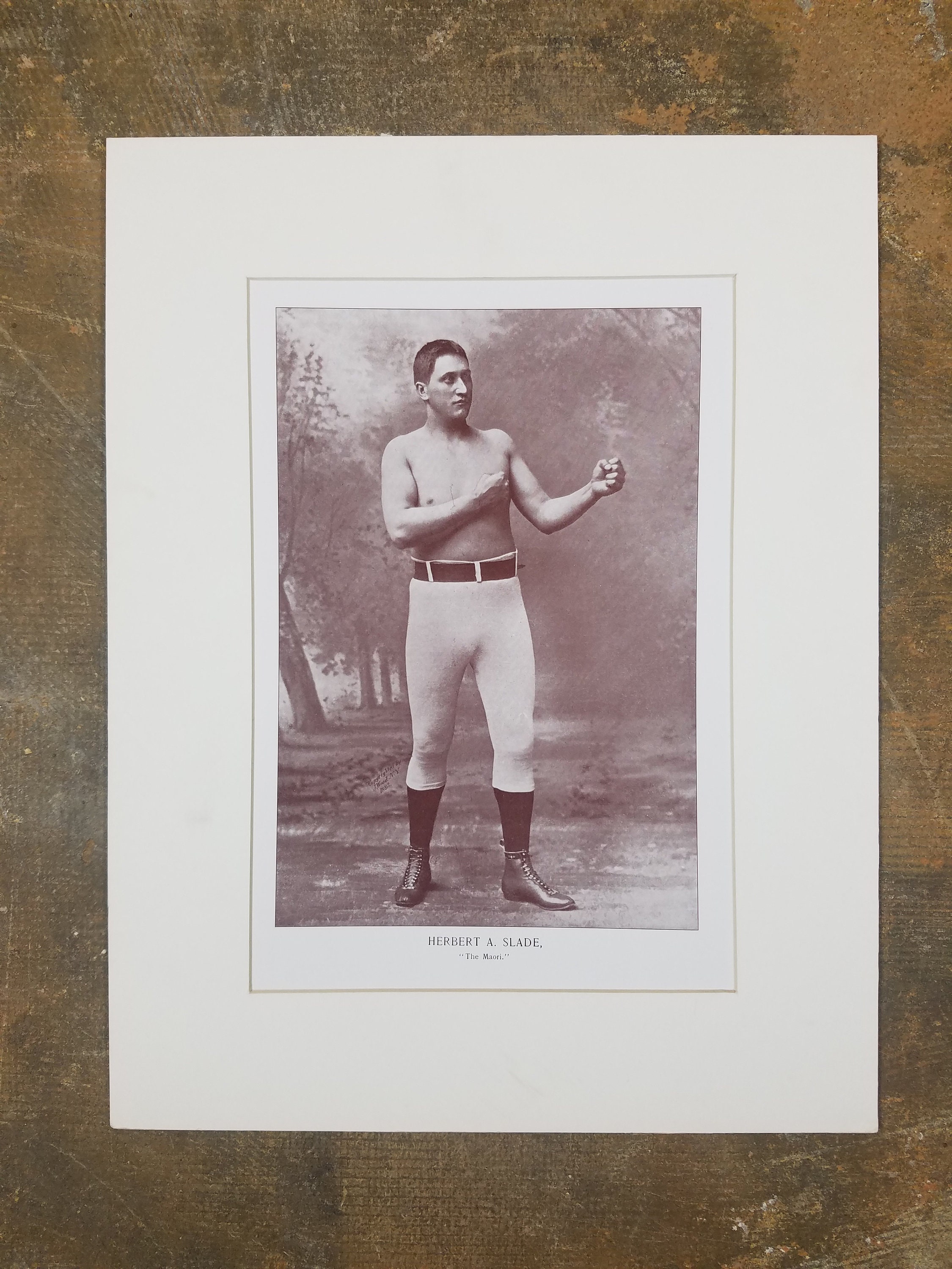 Boxer Print - Herbert A. Slade "the Maori"- Reproduction of Original - Etsy