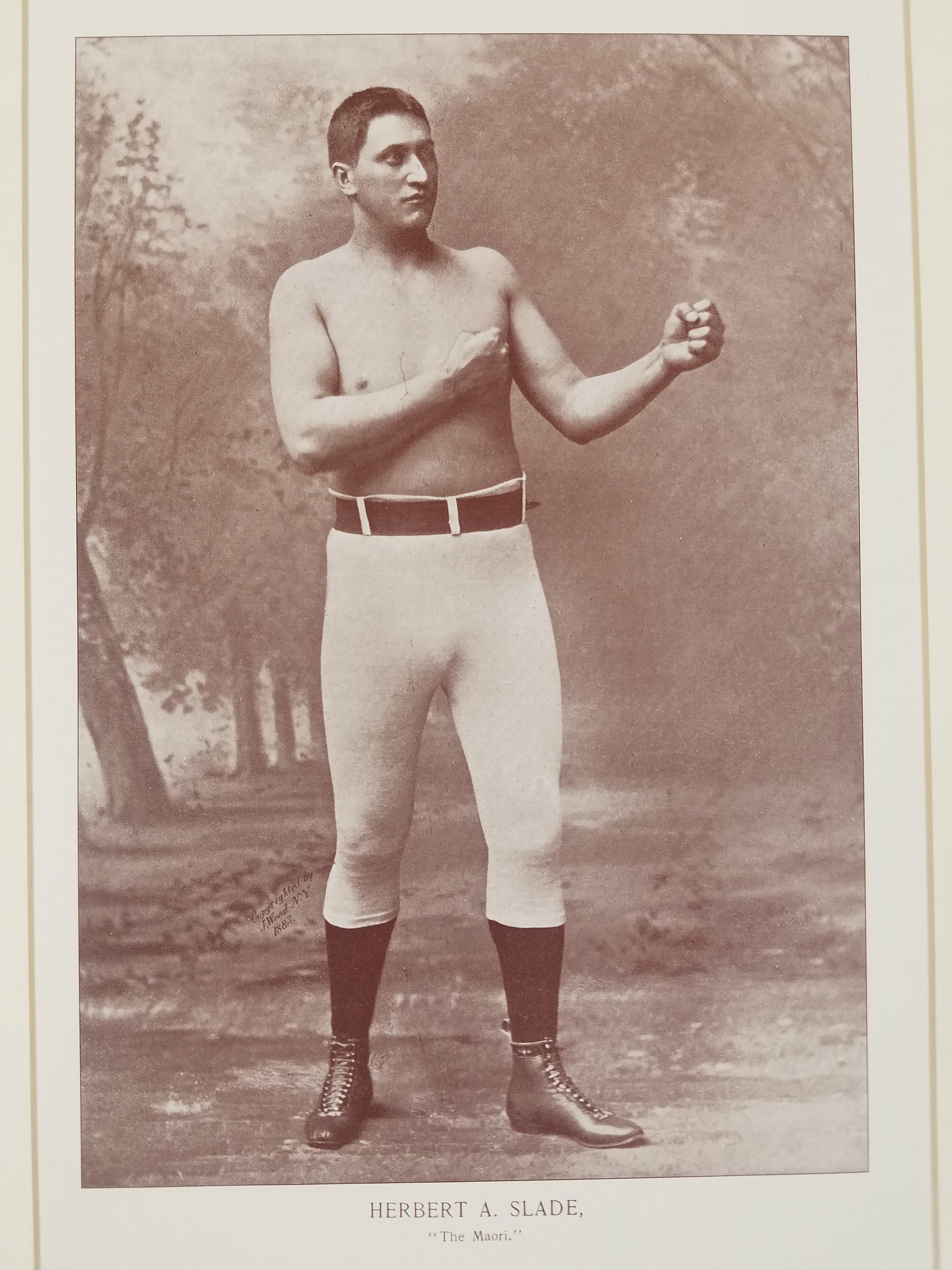 Boxer Print Herbert A. Slade the Maori Reproduction of Original - Etsy