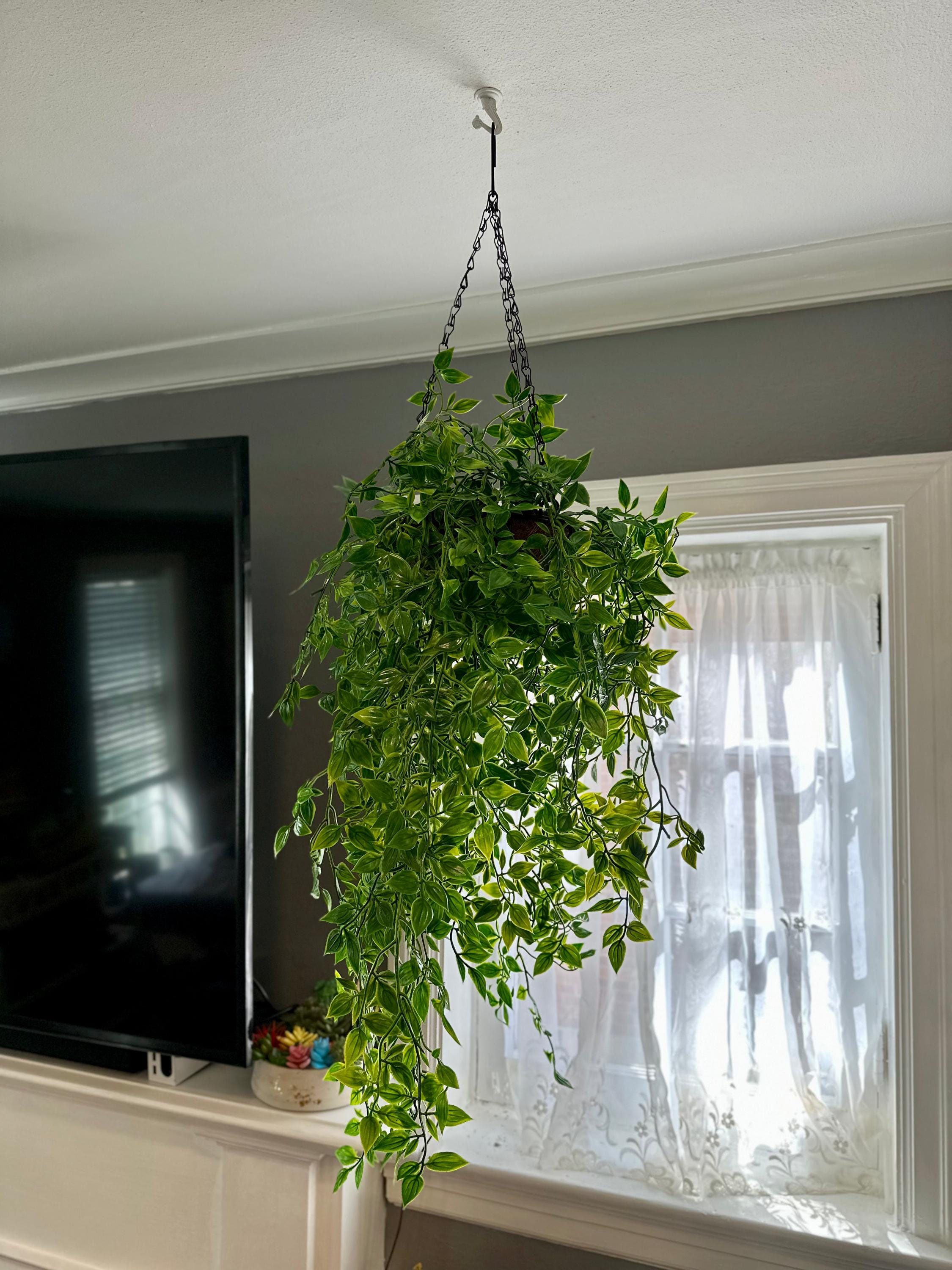 Evelyn Faux Hanging Ivy Plant – Cascading Artificial Greenery for ...