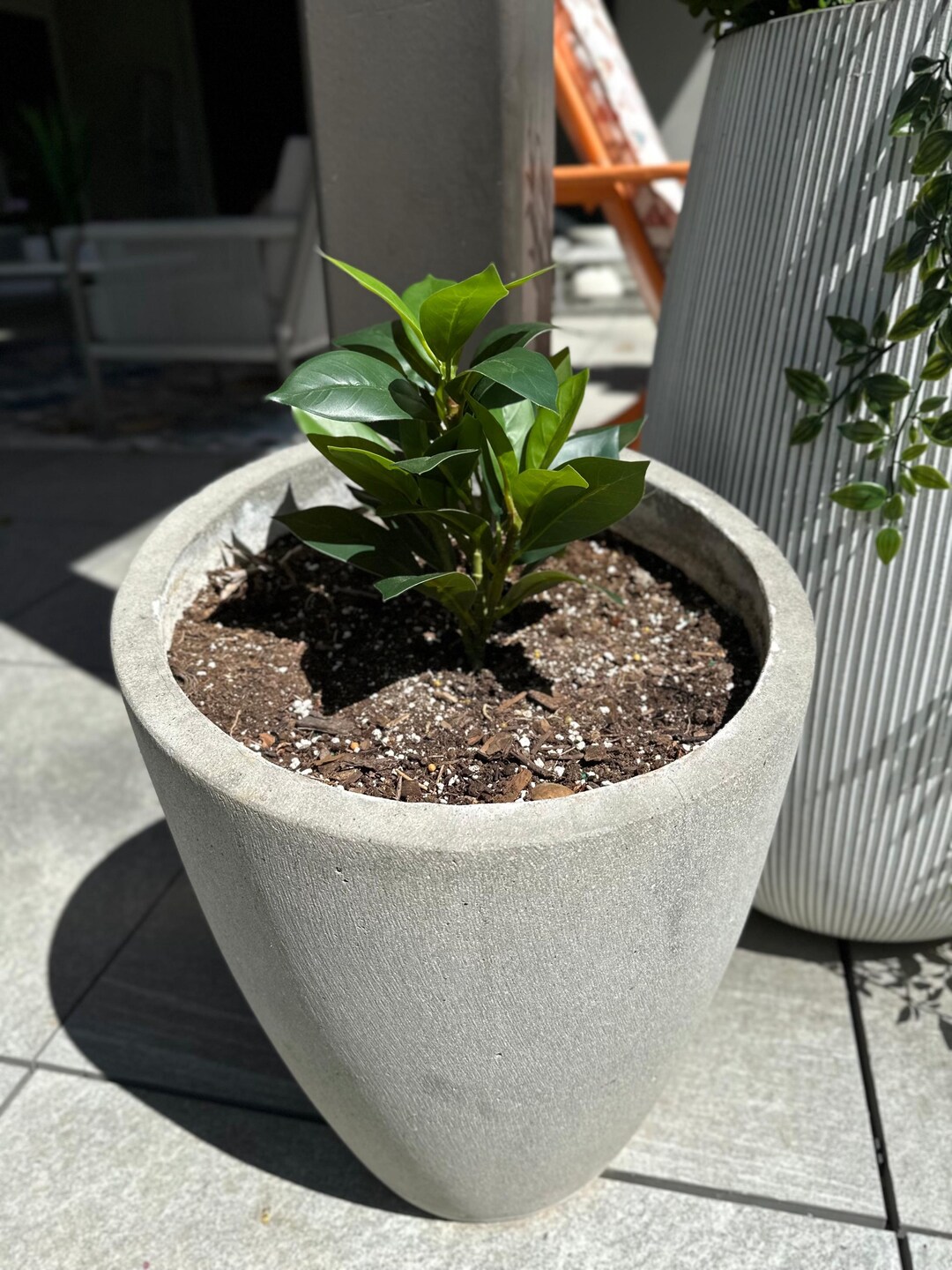 Maggie – Magnolia or Fiddle Leaf Stem Artificial Greenery, Fake Plant ...