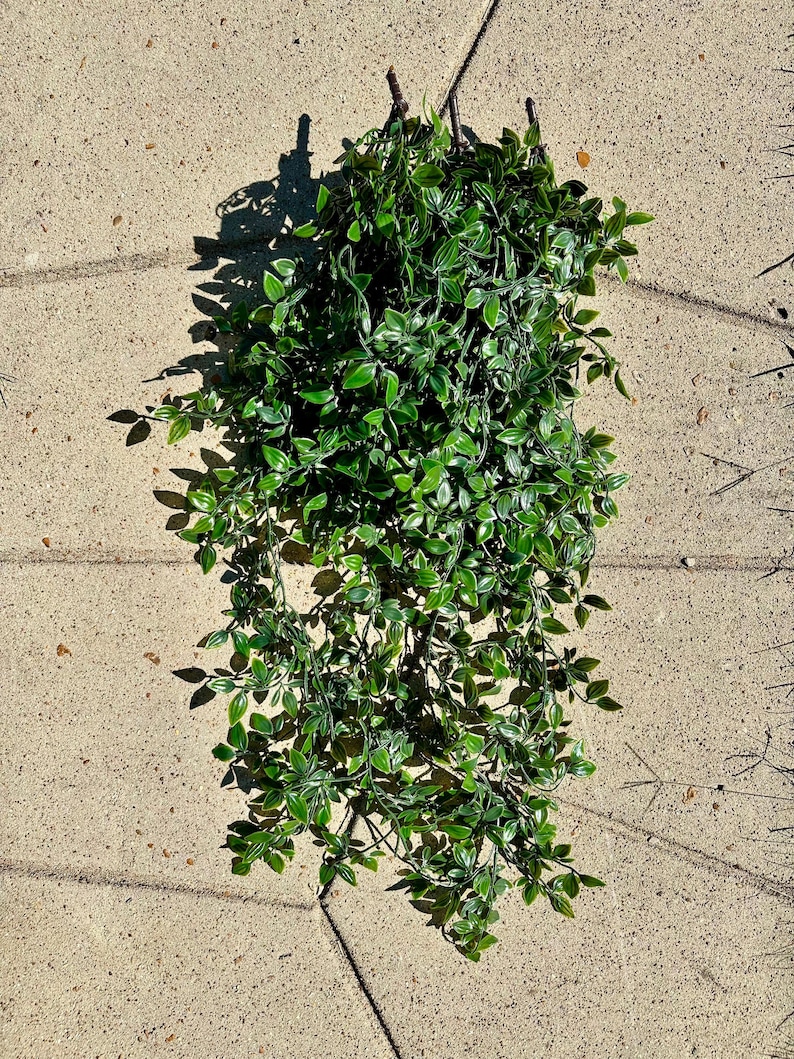 Evelyn Faux Hanging Ivy Plant – Cascading Artificial Greenery for ...