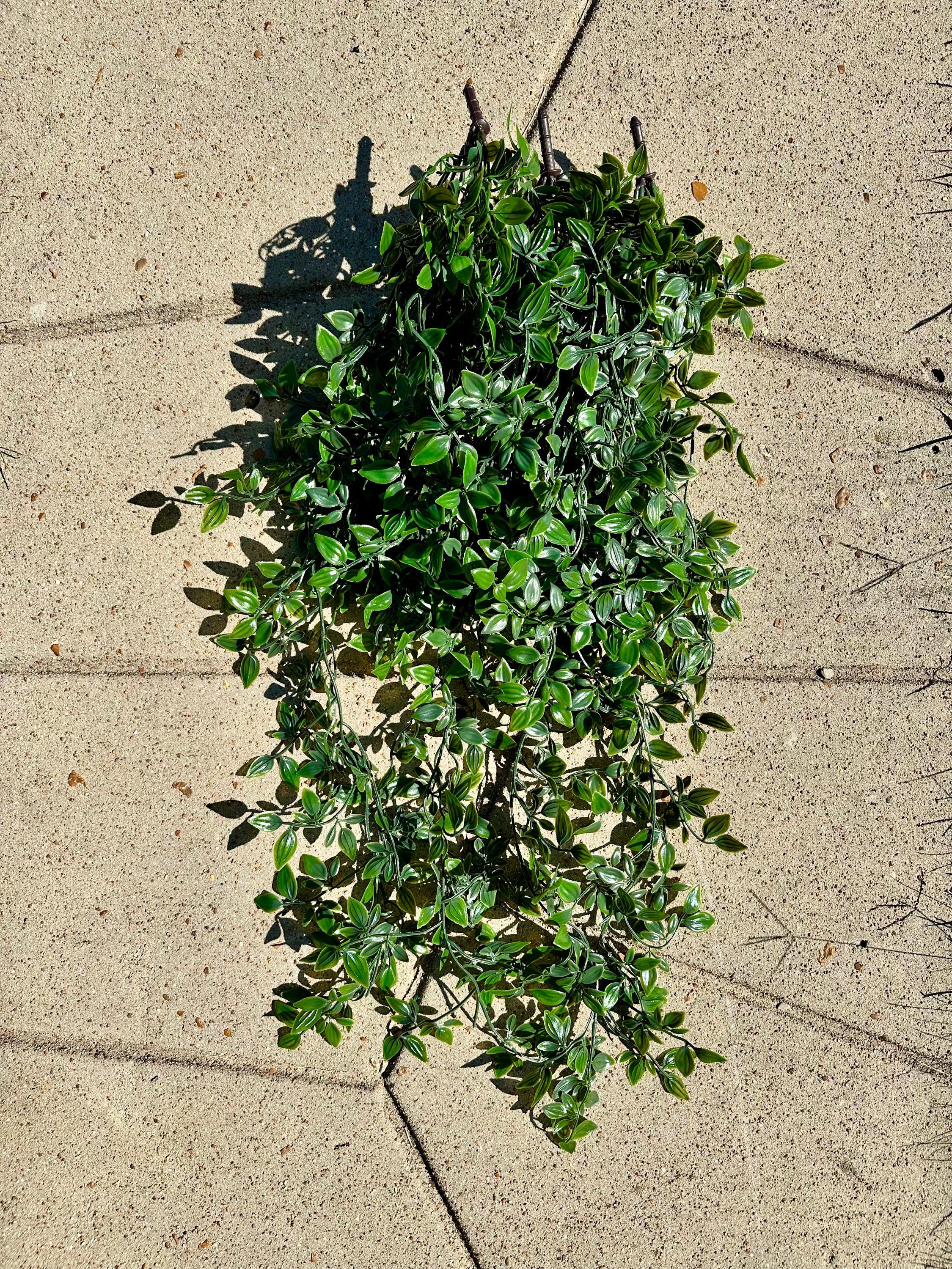 Evelyn Faux Hanging Ivy Plant – Cascading Artificial Greenery for ...