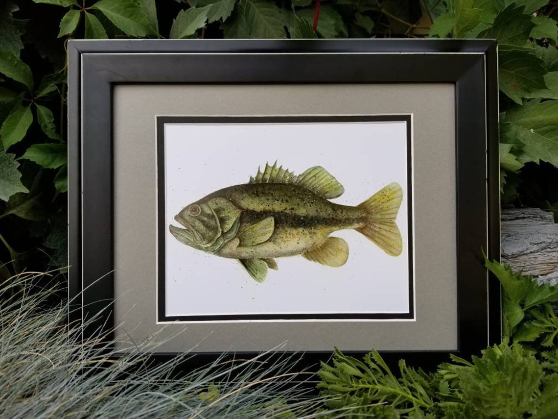 BASS ART PRINT Watercolor Bass Print Bass Painting Aqustic - Etsy