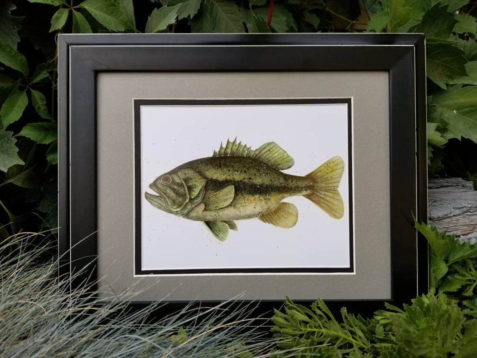 BASS ART PRINT Watercolor Bass Print Bass Painting Aqustic - Etsy