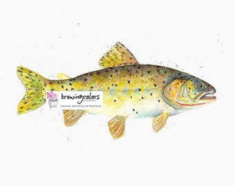 Cutthroat Trout - Etsy