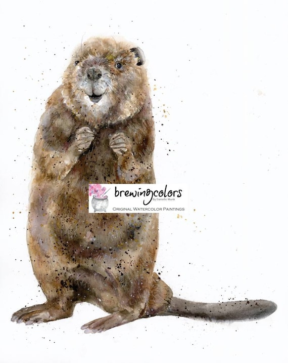 BEAVER ART PRINT Watercolor Beaver Beaver Painting Beaver | Etsy
