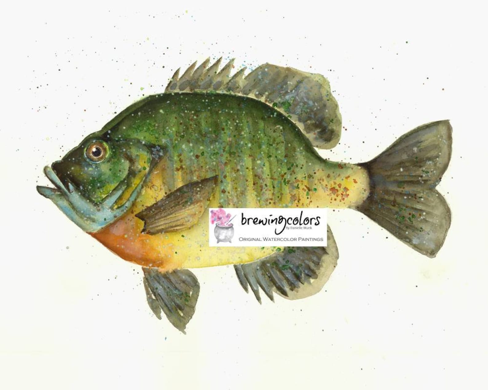BLUEGILL PRINT watercolor fish art print fish painting | Etsy