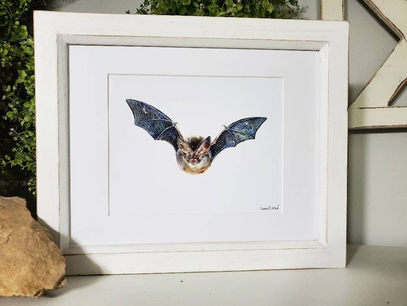 BAT WATERCOLOR PRINT Watercolor Bat Bats Art Bat Decor - Etsy