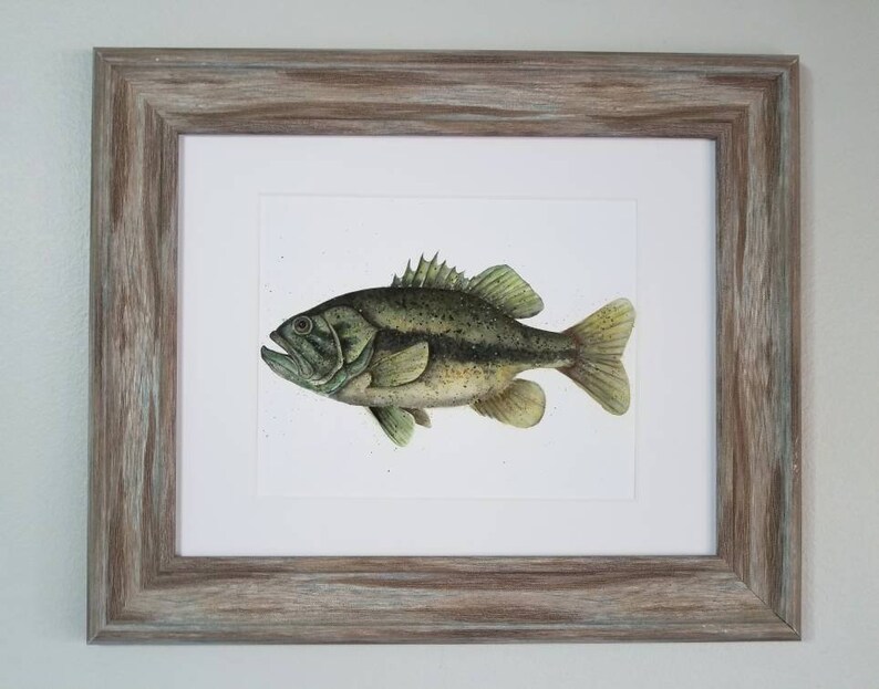 BASS ART PRINT Watercolor Bass Print Bass Painting Aqustic - Etsy