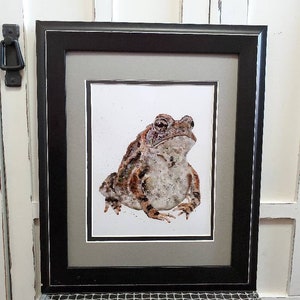 TOAD ART PRINT - Toad Painting, Watercolor Toad Wall Art Print, Toad ...